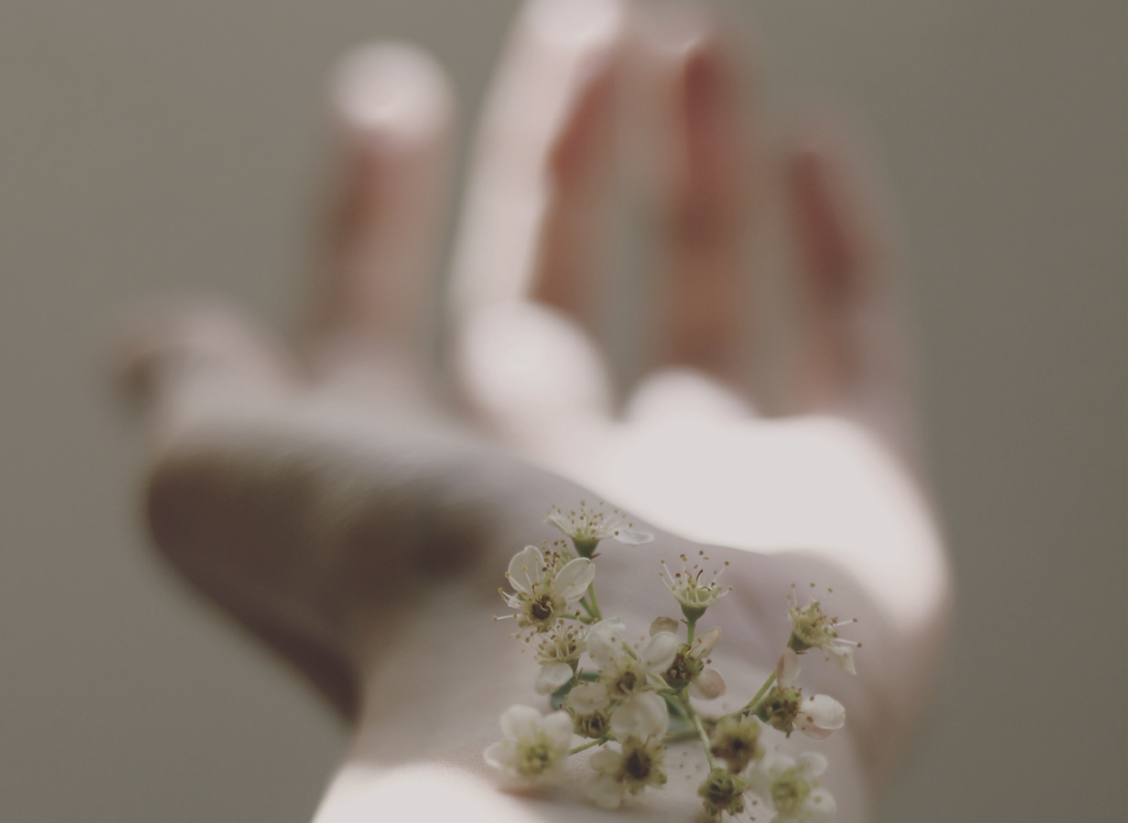 cannabis topicals: the skin science you need to know to make and ...